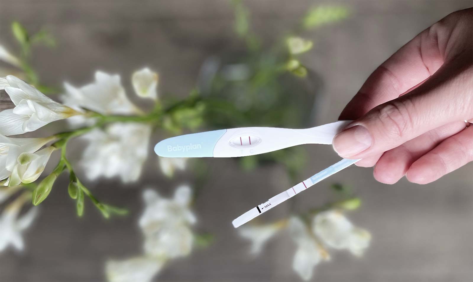 Ægløsningstest svag streg - Hvordan ser en positiv test ud?